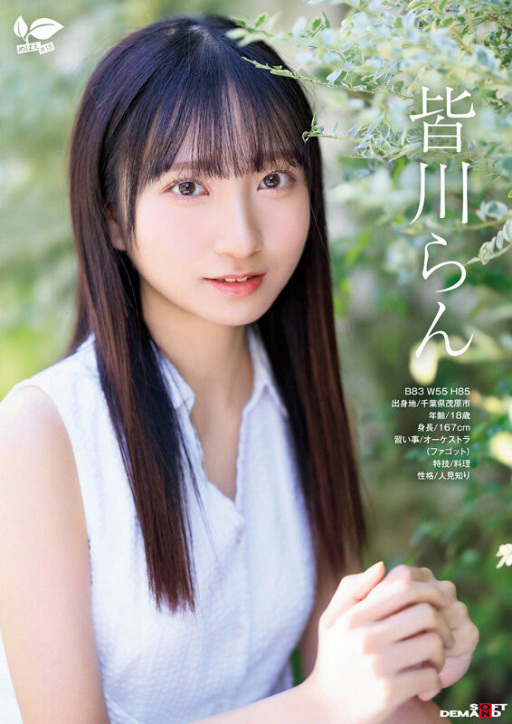 皆川らん(皆川兰)最新作品SDAB-327介绍及封面预览-乐忧记