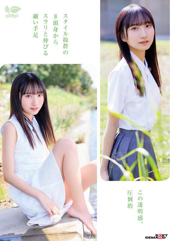 皆川らん(皆川兰)最新作品SDAB-327介绍及封面预览-乐忧记